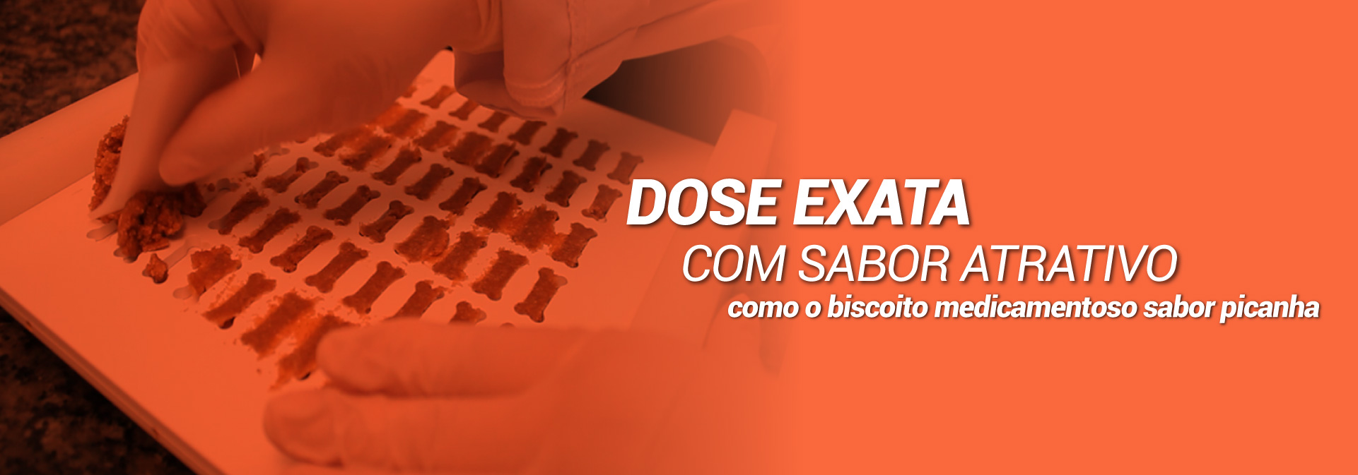 Home - Animal Farma | Farmácia de Manipulação Veterinária